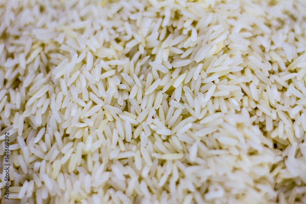 Rice grain background Stock Photo | Adobe Stock