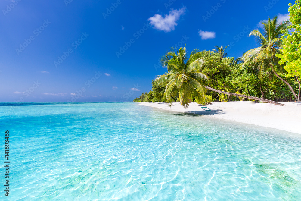 Tropical Beach Backgrounds