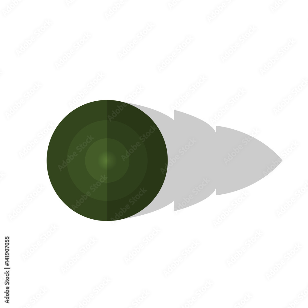 Tree top view. Spruce. The tree casts a shadow. Sleek design. Flat ...