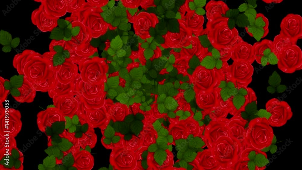 Explosion of Red Roses and Leaves Animation Background Backdrop Stock ...