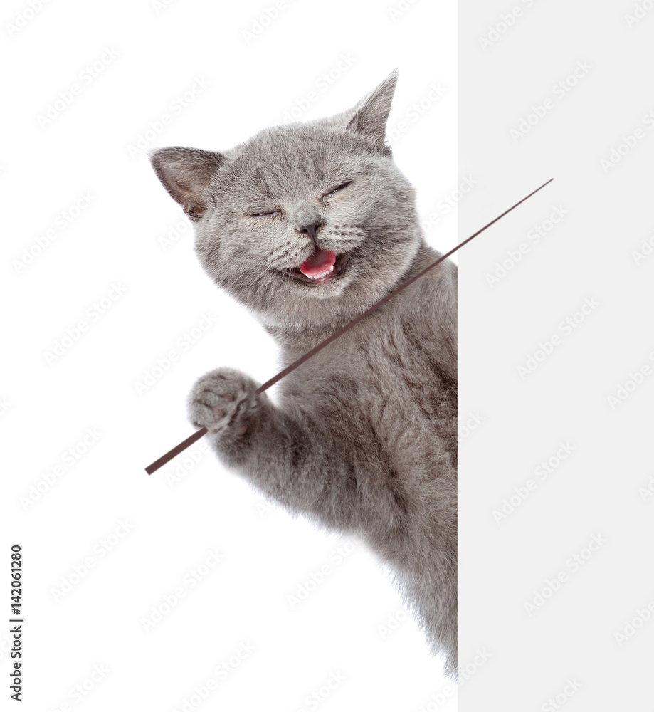 Smiling cat holding a pointing stick and points on empty banner ...