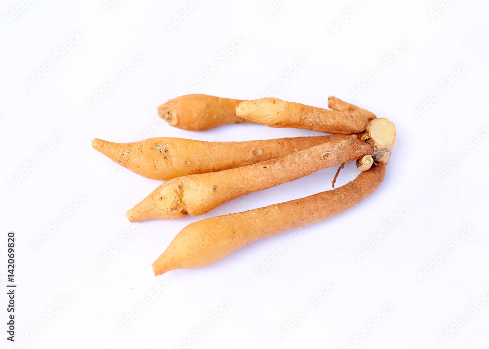 Finger root thai herb on white background Stock Photo | Adobe Stock