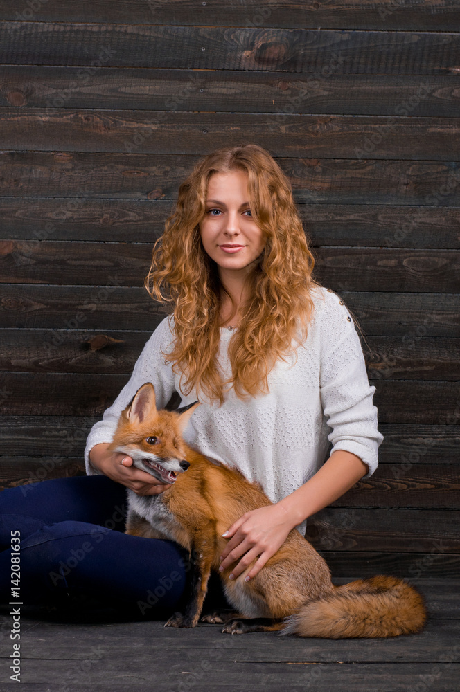 A young beautiful girl holding a wild fox animal that was traumatized ...
