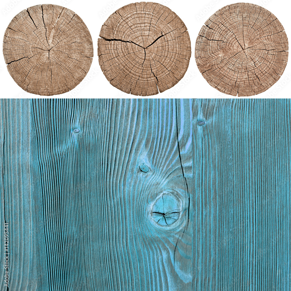 Cross section of tree trunk showing growth rings on white background ...