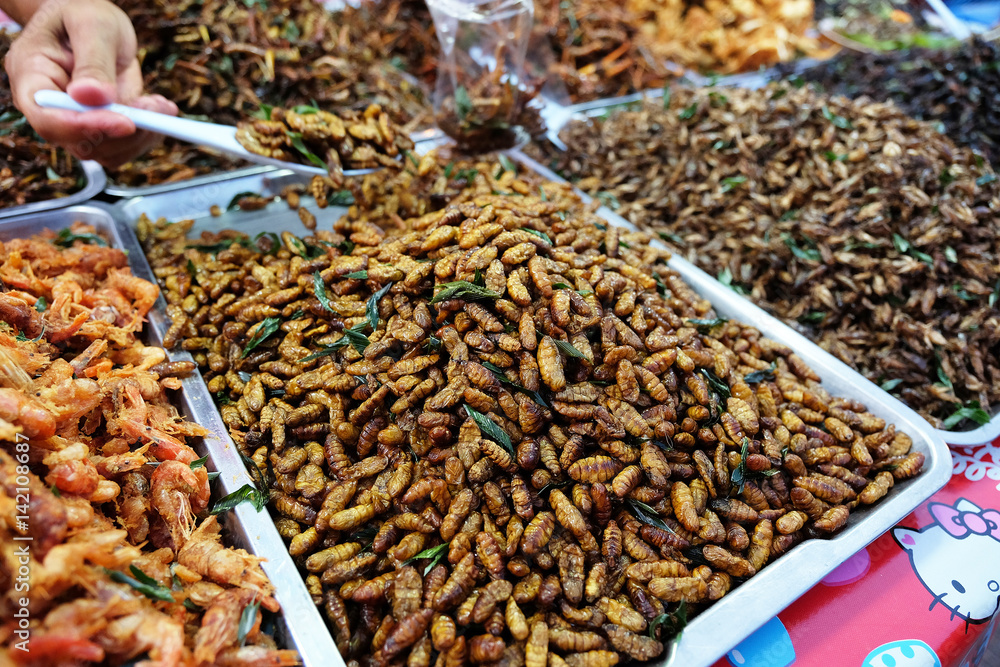 Fried Insects