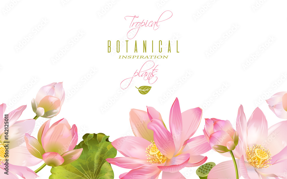 Lotus flower banner Stock Vector | Adobe Stock