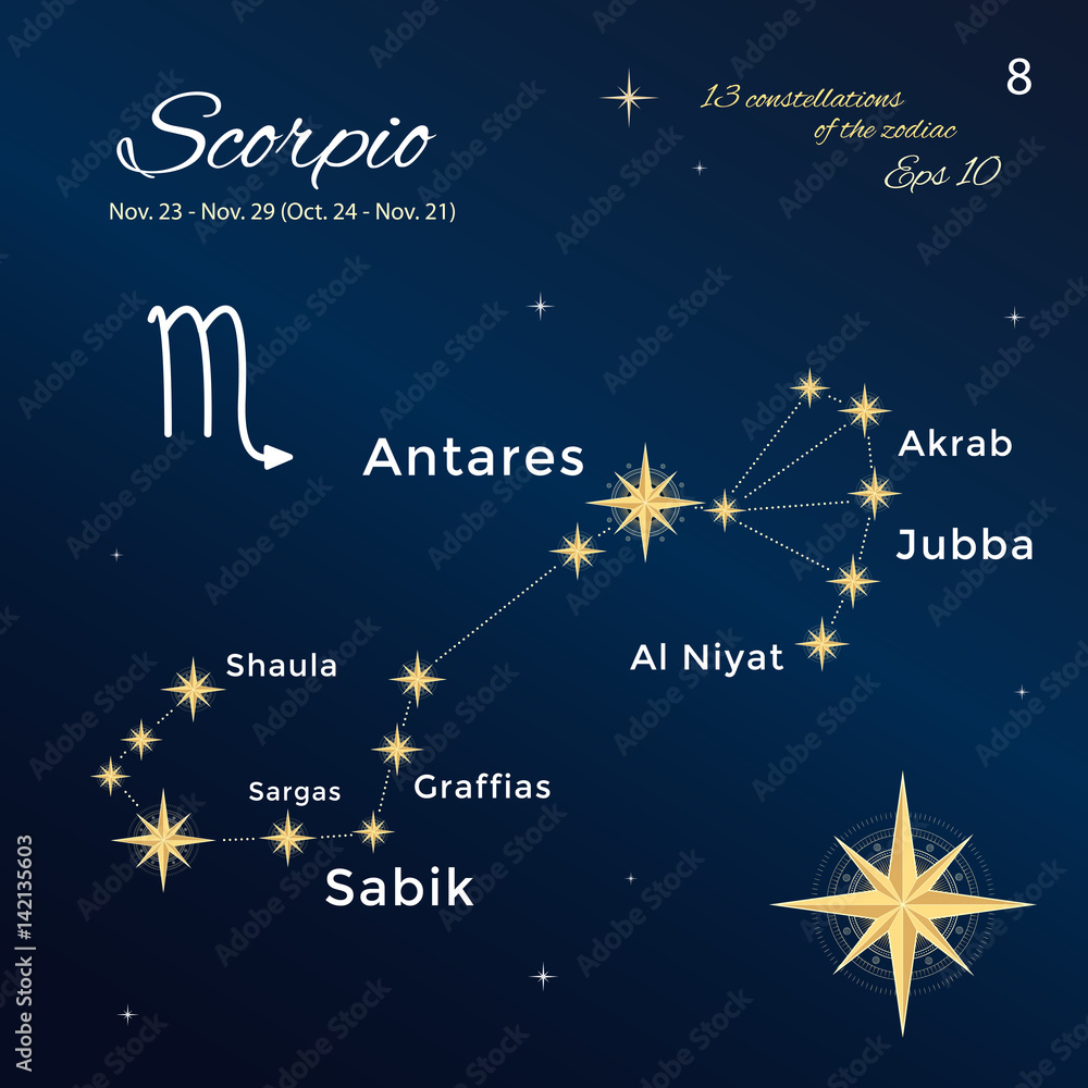 Scorpio. High detailed vector illustration. 13 constellations of the ...