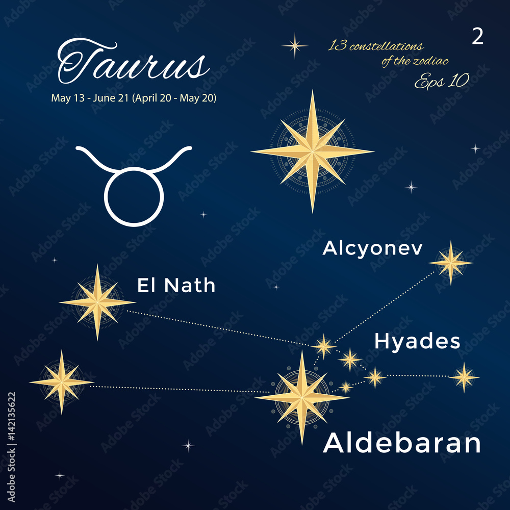 Taurus. High detailed vector illustration. 13 constellations of the ...
