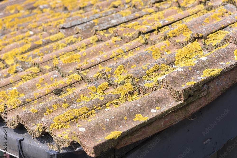 Vintage red roof tiling with moss, close-up texture Stock Photo | Adobe ...