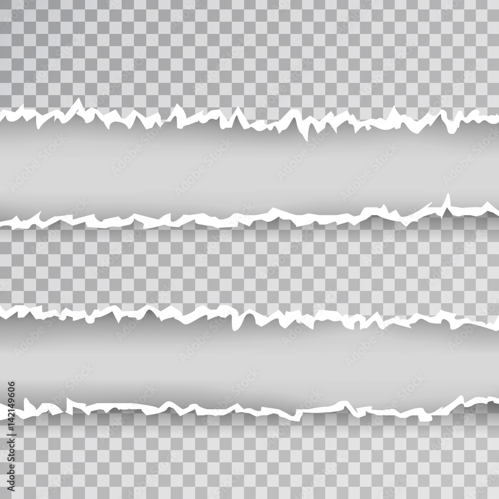 Vector realistic paper cut on the transparent background. Stock Vector ...