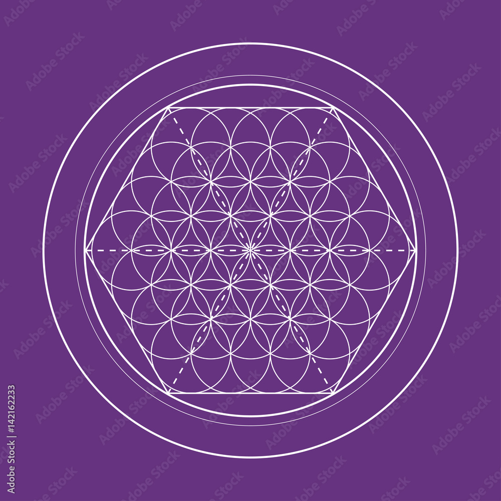 flower of life vector image, sacred geometry symbol on purple ...