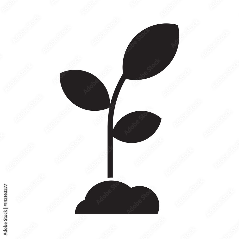 Seedling Silhouette