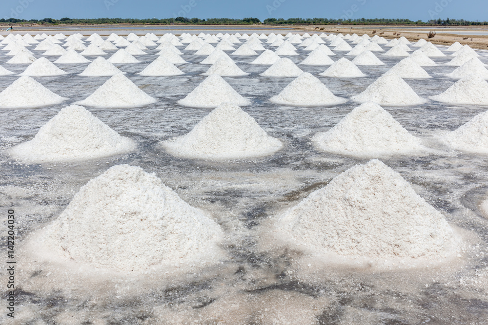 Row of sea salt extraction ready for harvesting with rural scene of ...