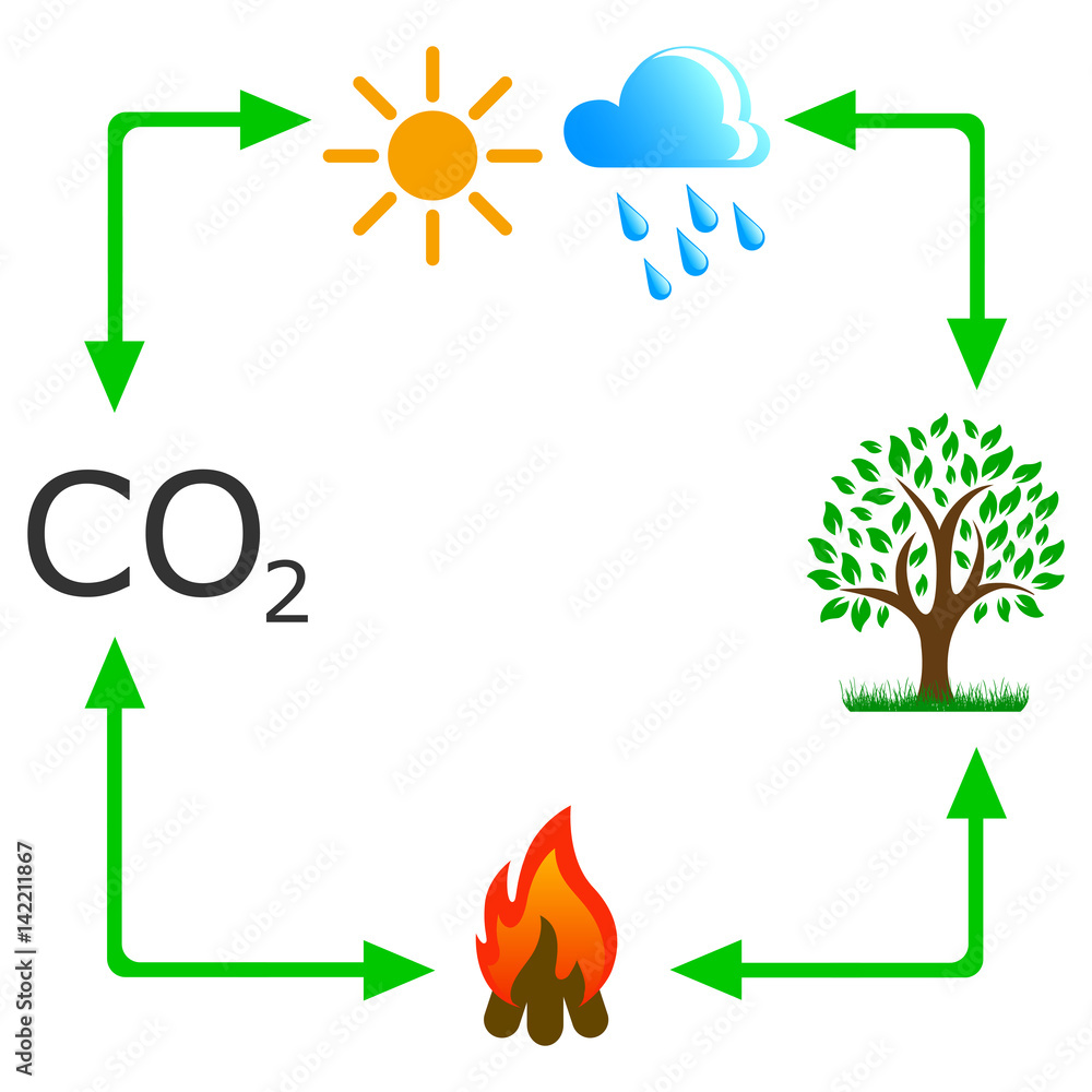 Circulation co2 in nature Stock Vector | Adobe Stock