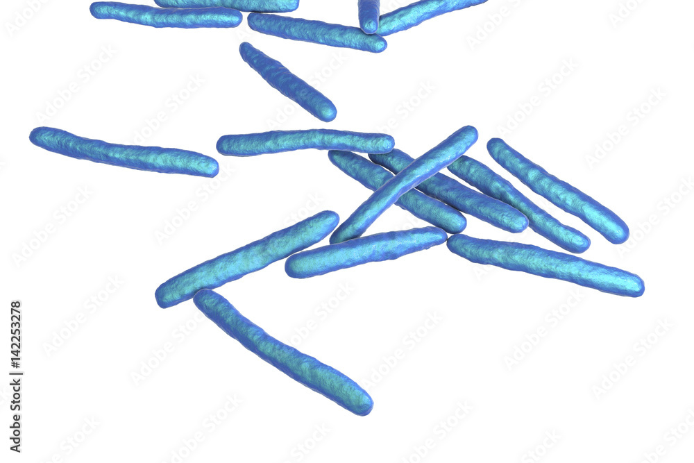 Bacteria Mycobacterium tuberculosis isolated on white background, the ...