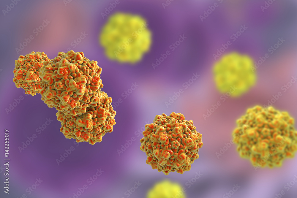 Parvovirus B19 on colorful background, a virus which causes anemia, a ...