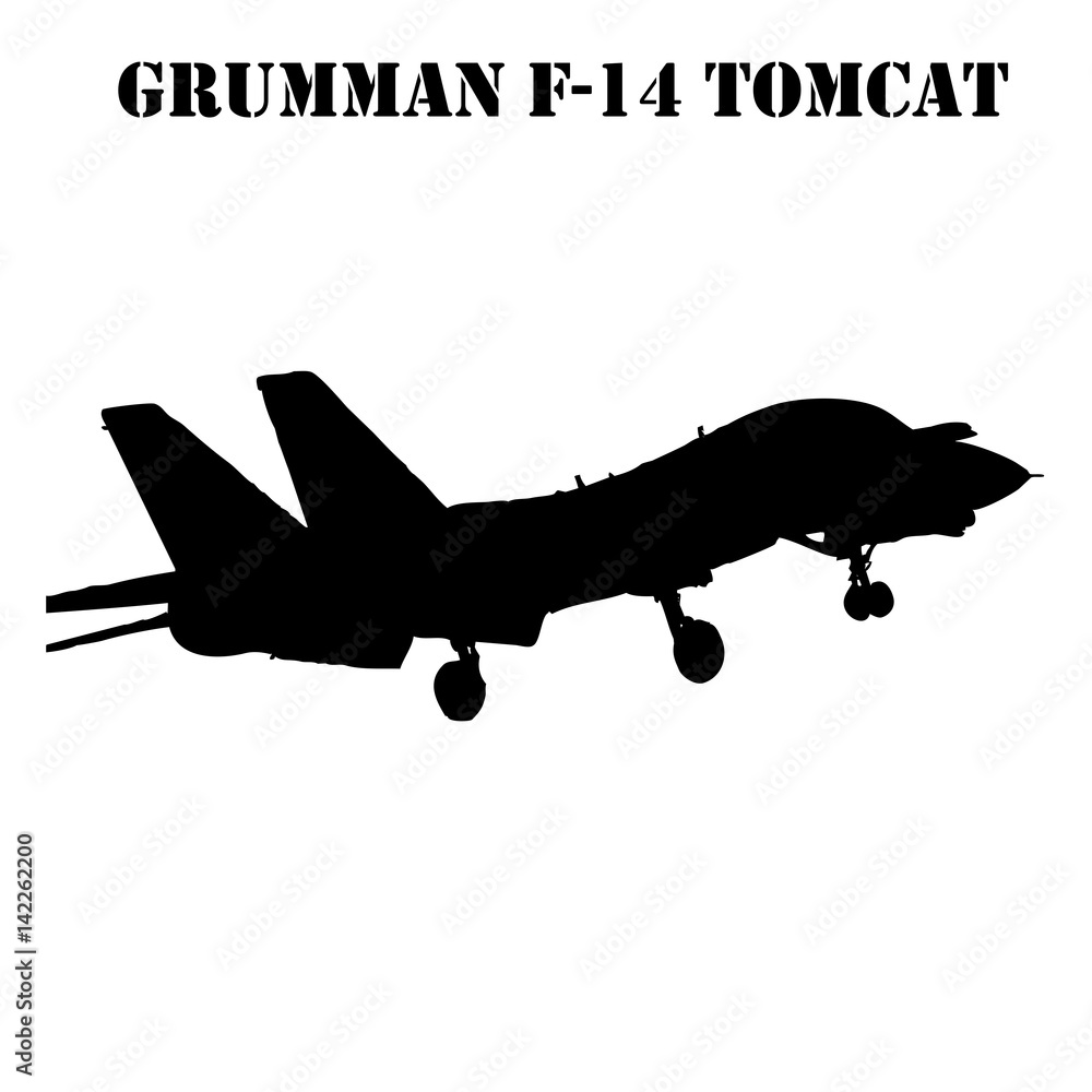 Grumman F-14 Tomcat Stock Vector | Adobe Stock