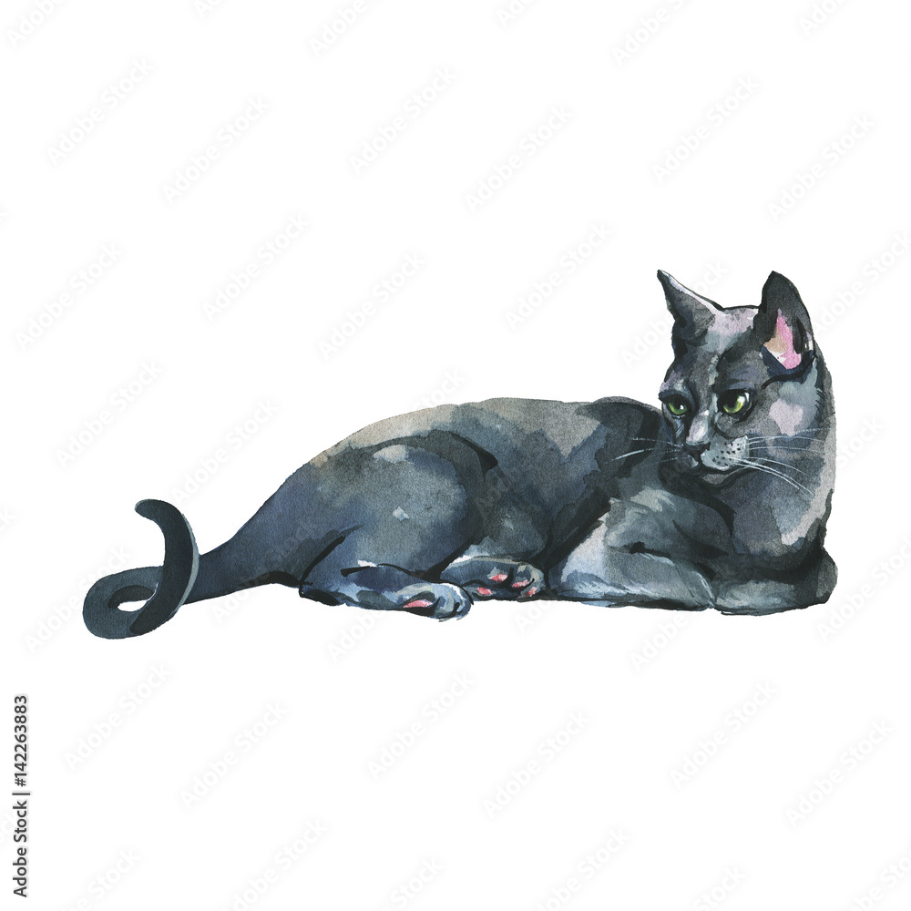 Watercolor russian blue cat. Hand drawn grey cat portrait. Painting ...