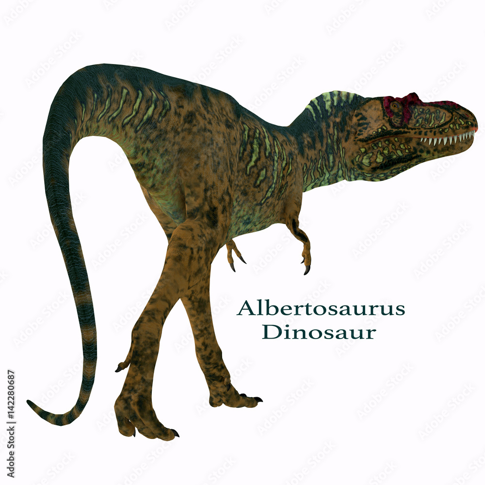 Albertosaurus Dinosaur Tail with Font - Albertosaurus was a carnivorous ...