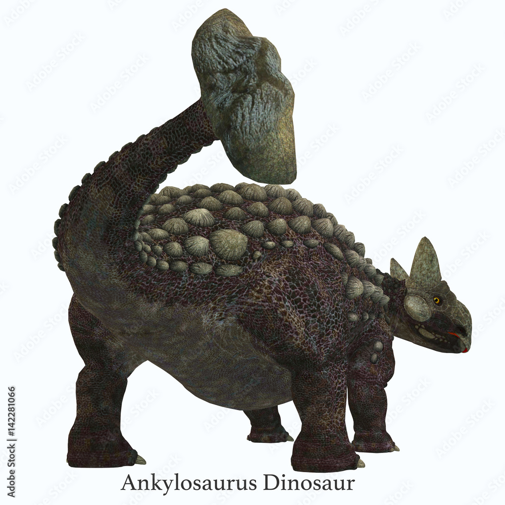 Ankylosaurus Dinosaur Tail with Font - Ankylosaurus was a herbivorous ...