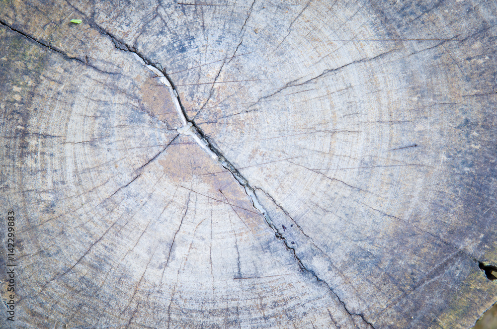 Photograph of raw wood planking, processed to give a weathered, grungy ...