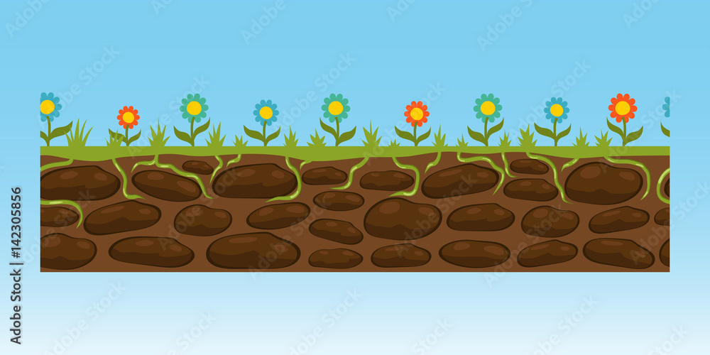 Cross section ground slice isolated some piece nature outdoor ecology ...