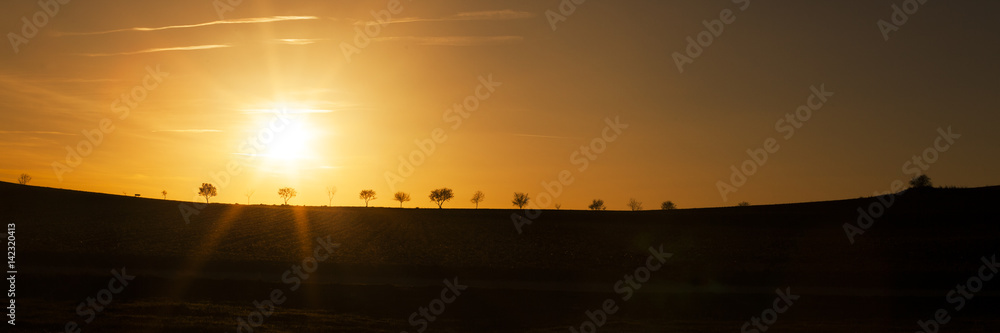 Photo & Art Print Línea del horizonte con árboles, Ricardo Ferrando