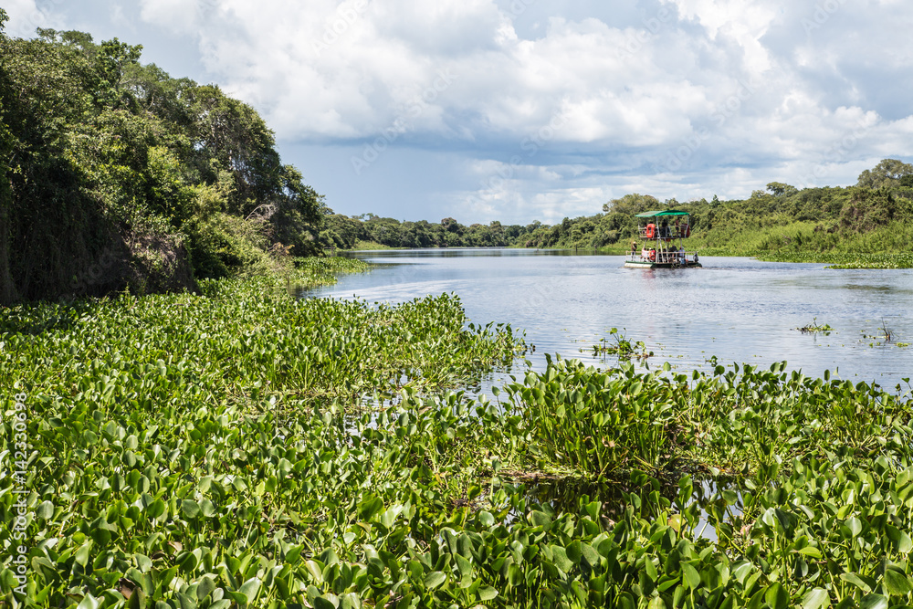 Wasserlandschaft im Pantanal in Brasilien Stock Photo | Adobe Stock
