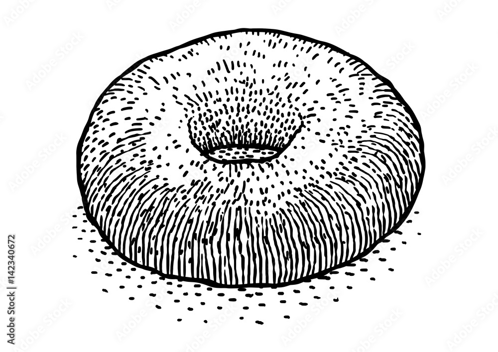 Donut illustration, drawing, engraving, ink, line art, vector Stock ...