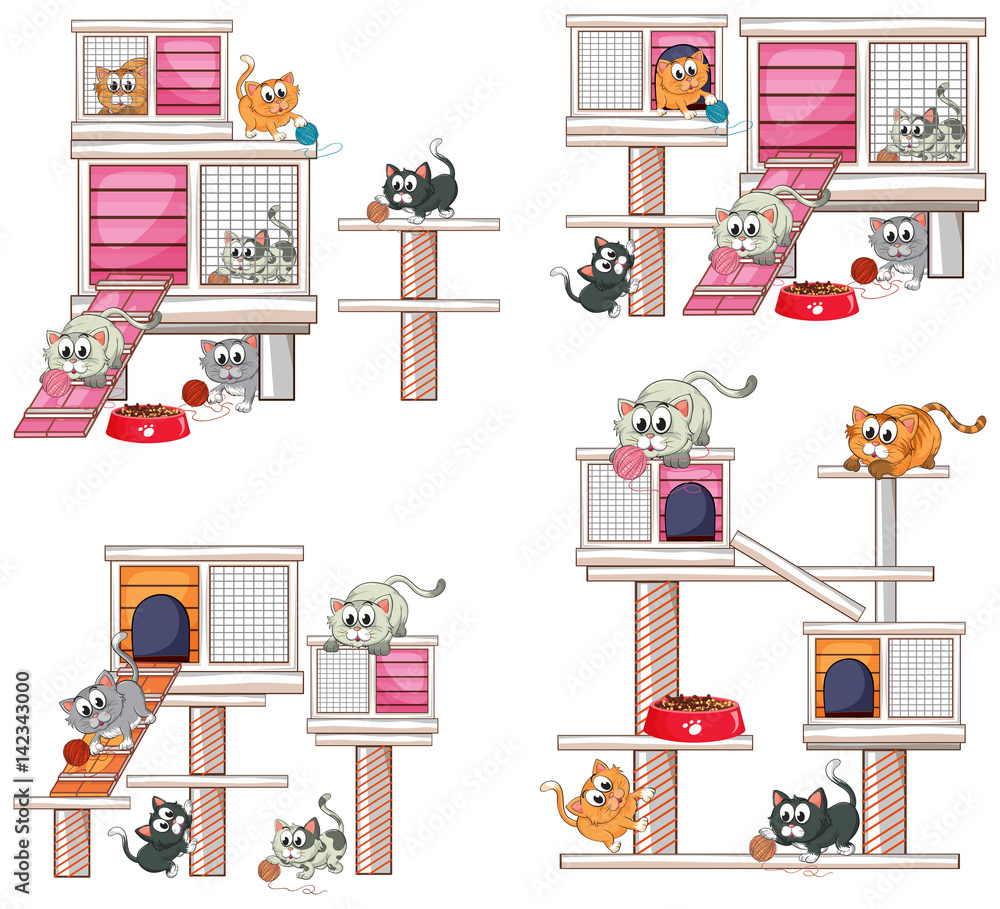 Cats and different designs of cat house Stock Vector | Adobe Stock