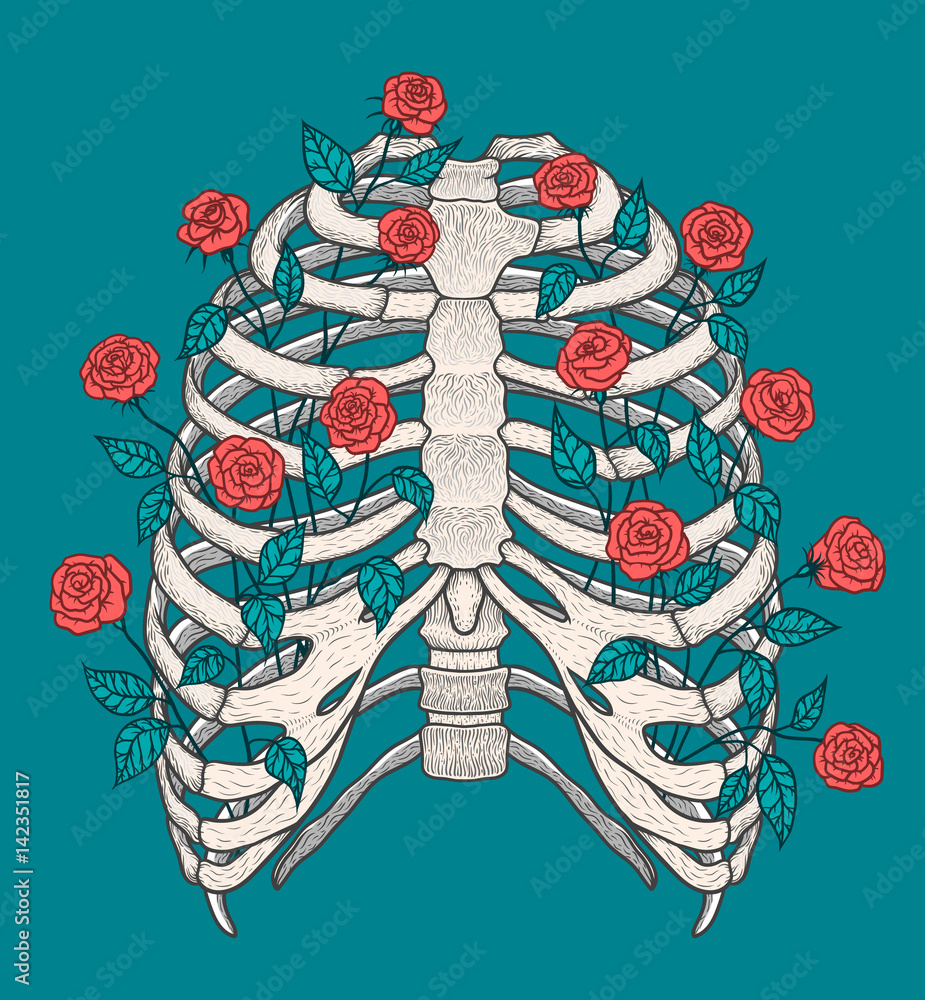 Illustration of human rib cage with roses. Line art style. Boho vector ...
