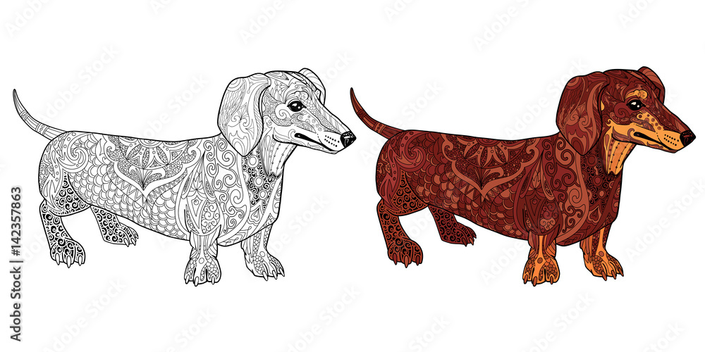 Decorative dachshund dog doodle illustration for adult coloring book ...