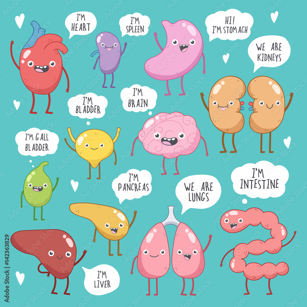 Vector illustration set of cartoon characters. Human internal organs ...