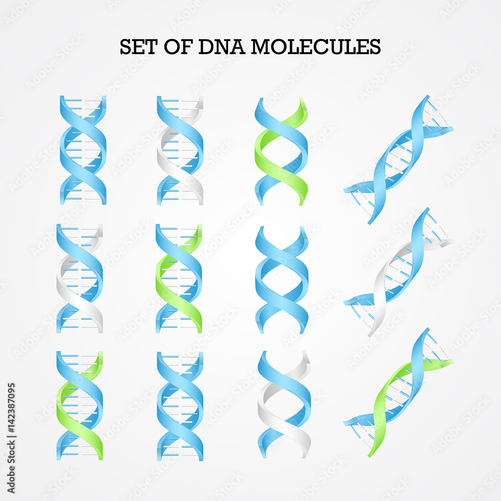 Human DNA molecule symbols set, genetics elements and icons collection ...