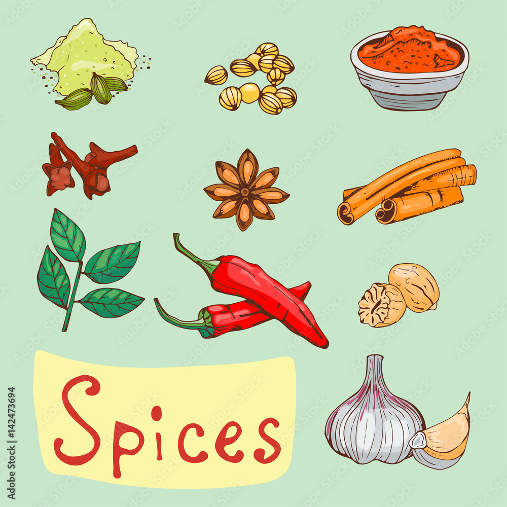 Spices seasoning hand drawn style food herbs elements and seeds ... Spices seasoning hand drawn style food herbs elements and seeds ...