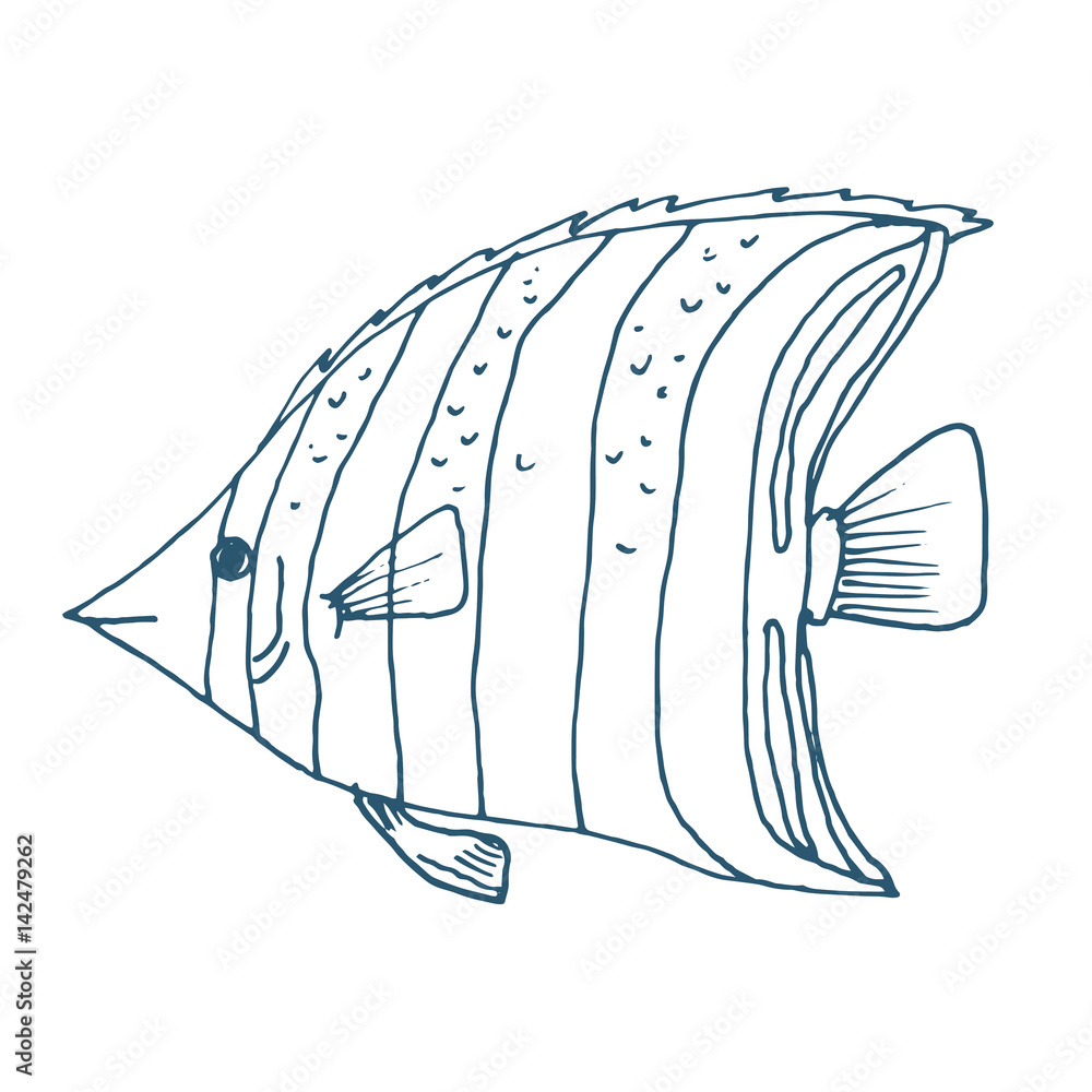 Vector zebra fish, coral fish hand drawn illustration. Sketch with ...