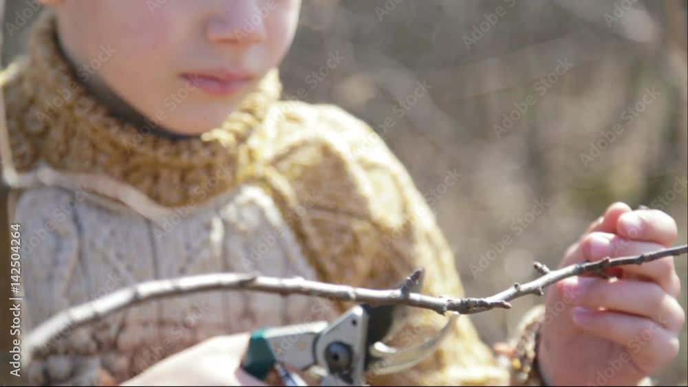 Vidéo Stock The boy cuts the trees in the garden with a pruner. The ...
