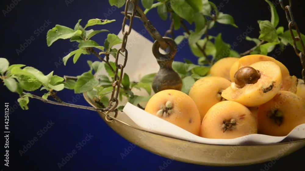 Eriobotrya japonica Loquat ビワ Nespola 枇杷 Nhót tây lô quất Мушмула ...