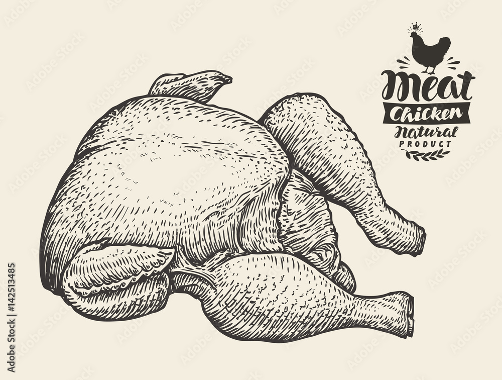 Hand drawn fresh chicken carcass, meat. Butcher shop, food sketch ...