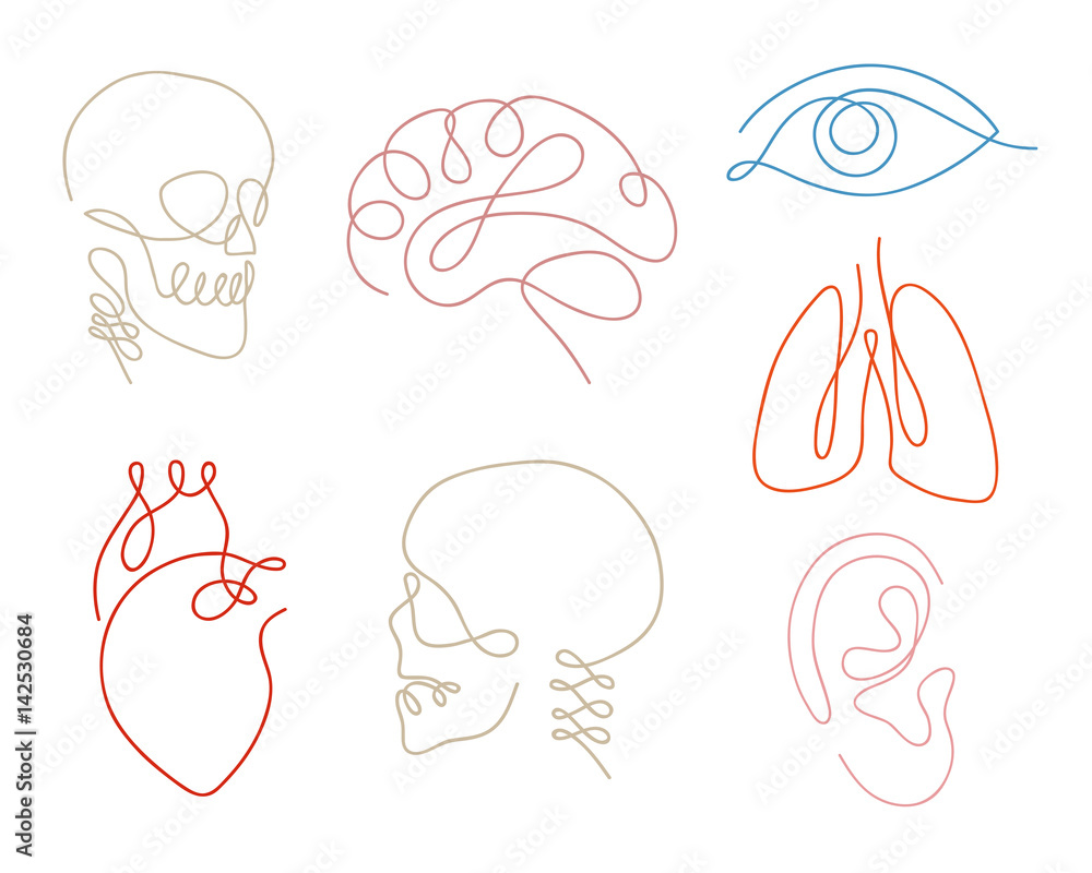 One line human organs set design silhouette.Logo design. Hand drawn ...