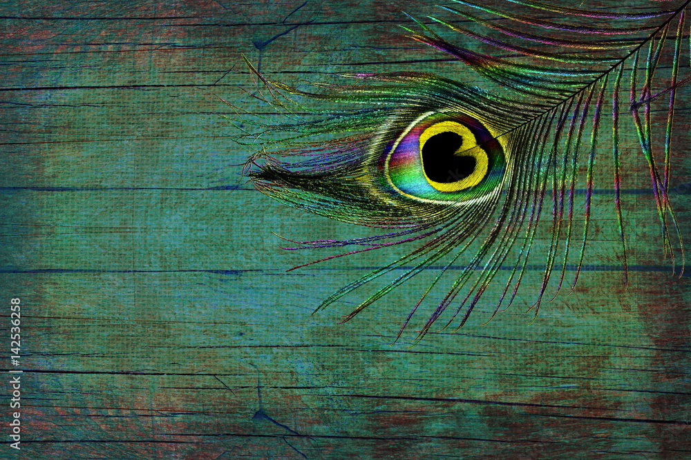 Vintage Peacock Feather Image