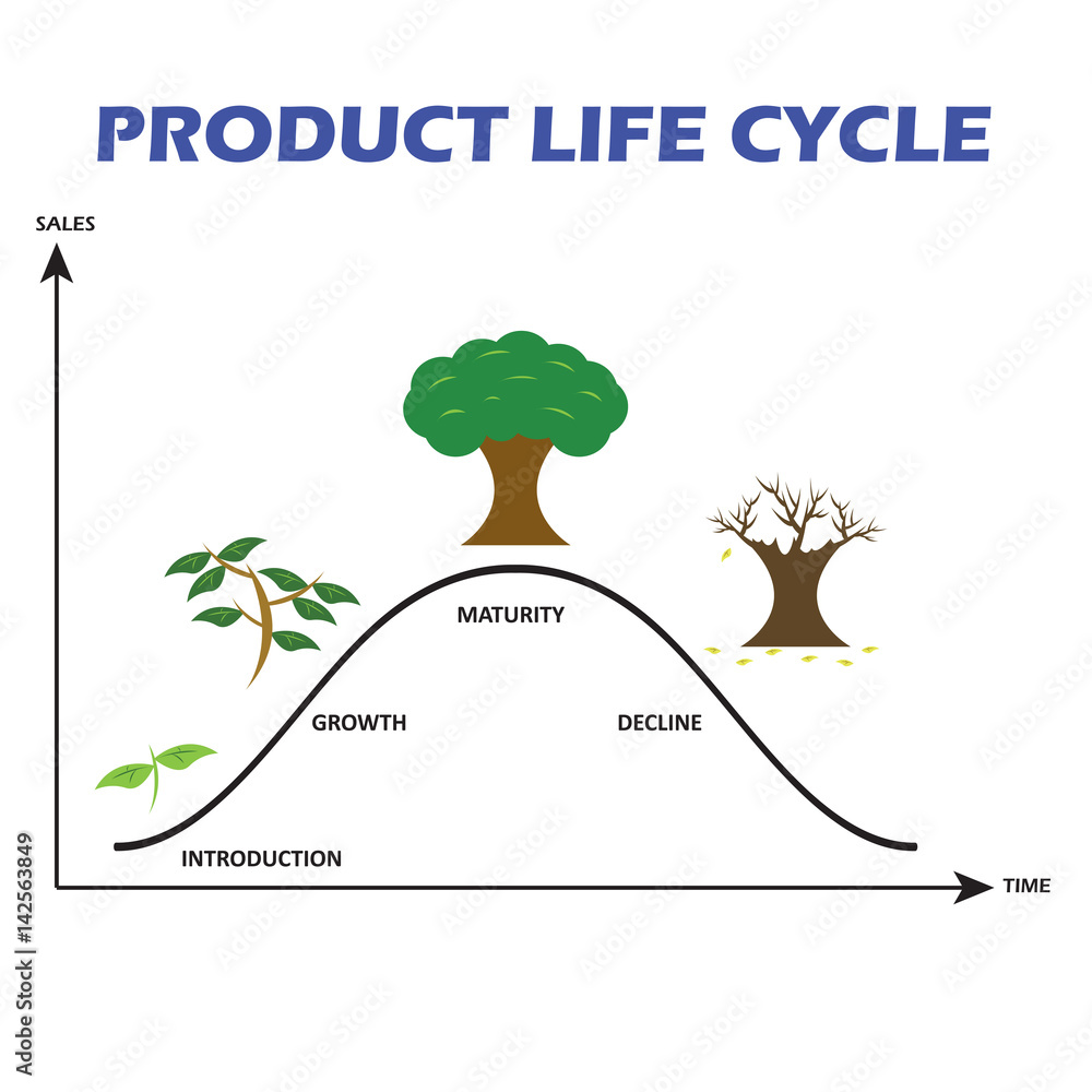 Product Life Cycle on White Background Stock Vector | Adobe Stock