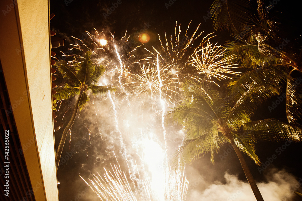 Look from below the palms at golden fireworks in night sky Stock Photo ...