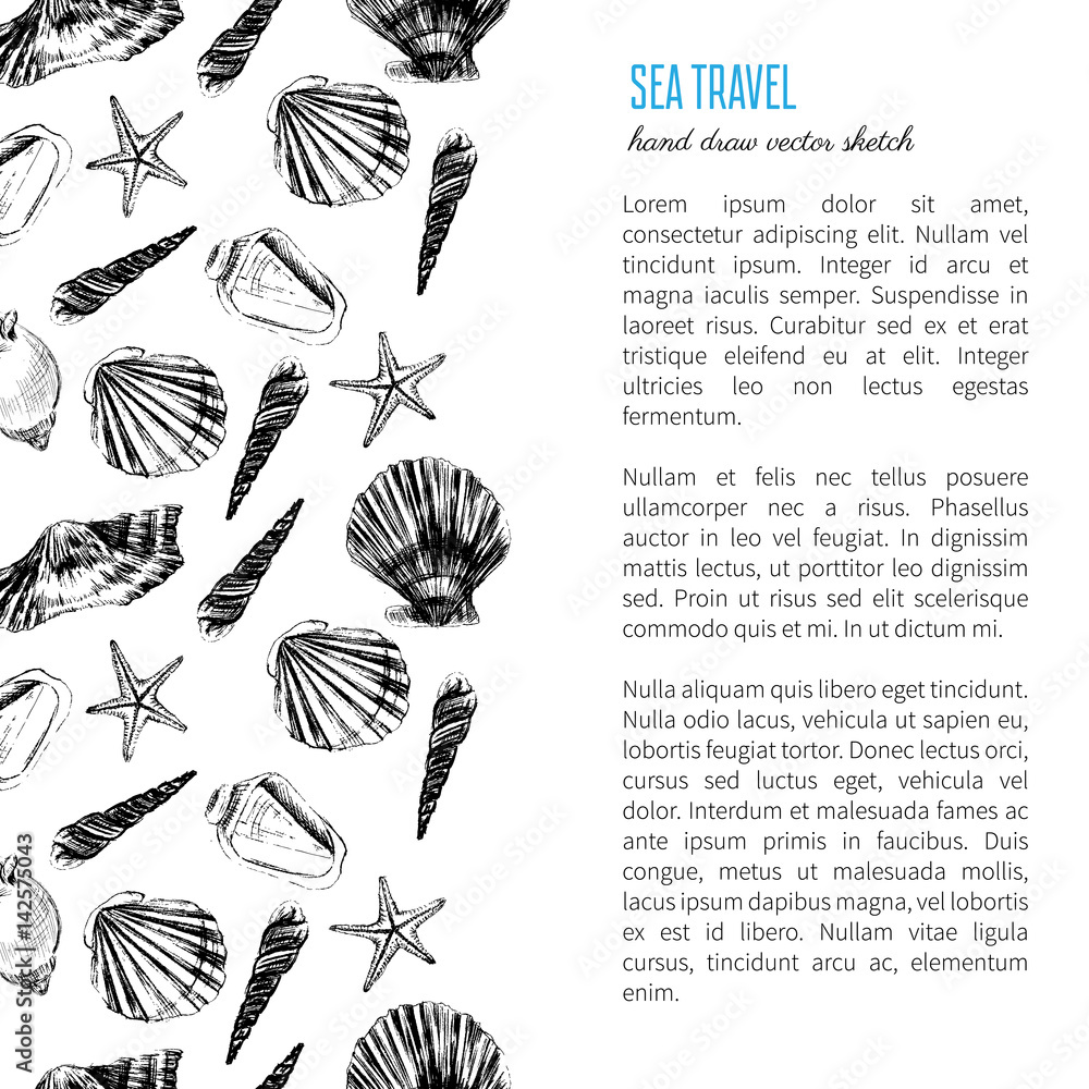 Seashell hand drawn vector etching sketch isolated on white background ...