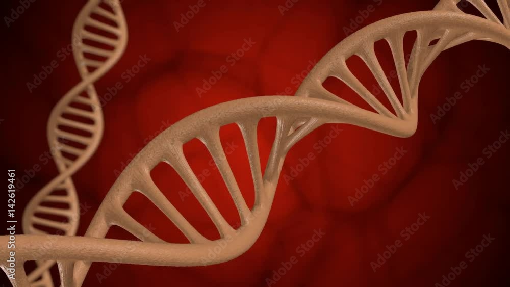 ADN - 002 - 4K UHD Stock Video | Adobe Stock