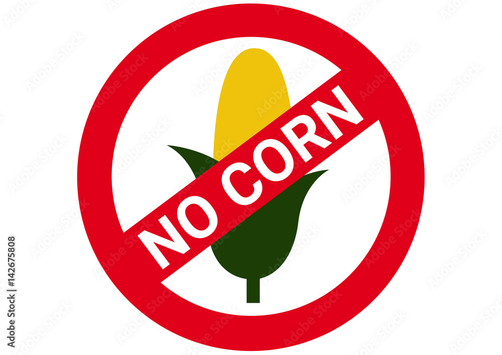 no corn vector de Stock | Adobe Stock