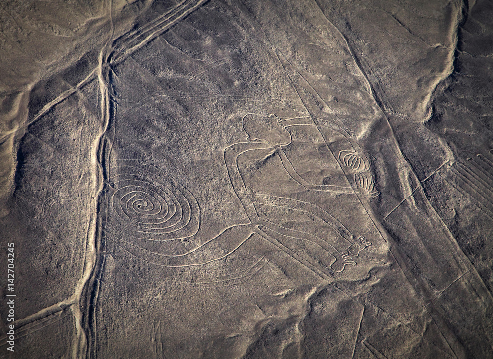 Mysterious figures Nazca desert from the aircraft Stock Photo | Adobe Stock