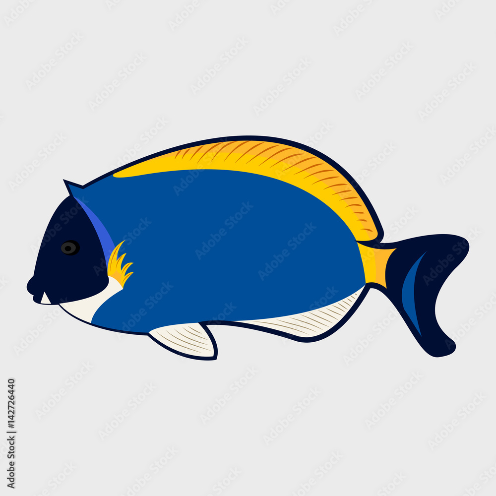 Icon reef fish. Stock-Vektorgrafik | Adobe Stock