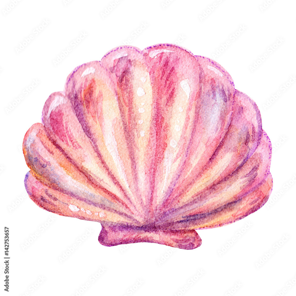 Cartoon marine watercolor red shell illustration icon isolated on white ...
