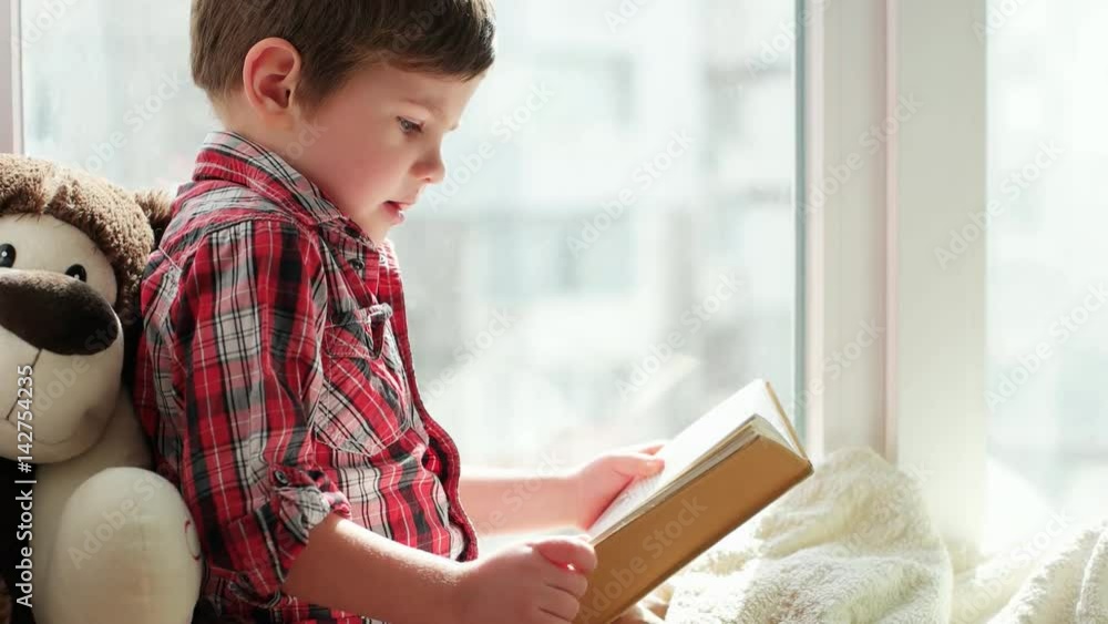 Vidéo Stock child reading book, smart kid wearing checkered red shirt ...